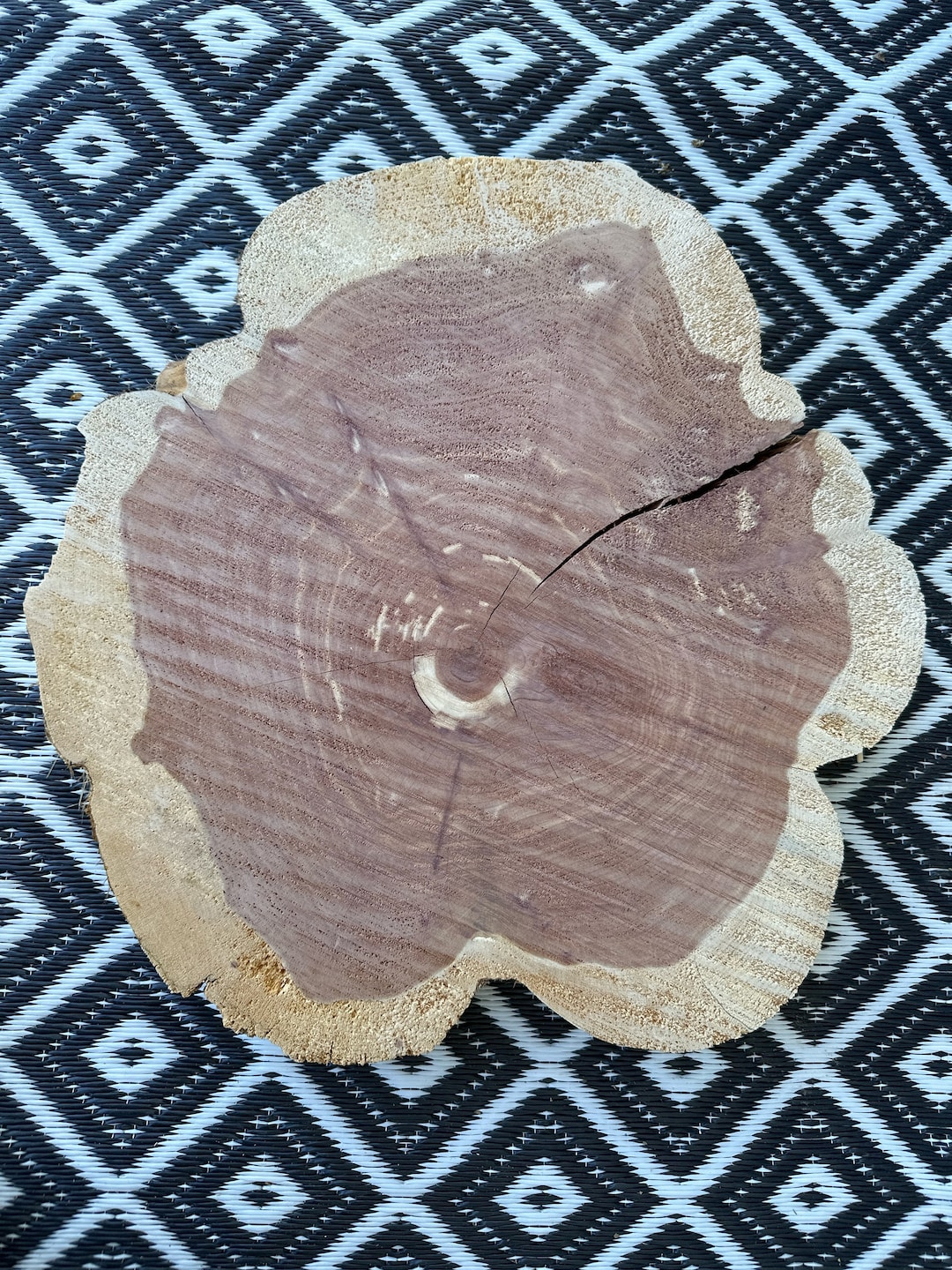 Center Cut Wood Live Edge Slab Round Crosscut Rough Cut DIY Staghorn ...