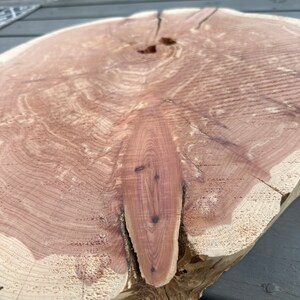 HUGE Chunky Cookie Red Cedar Wood Round Sanded Table DIY 23+” Resin ...
