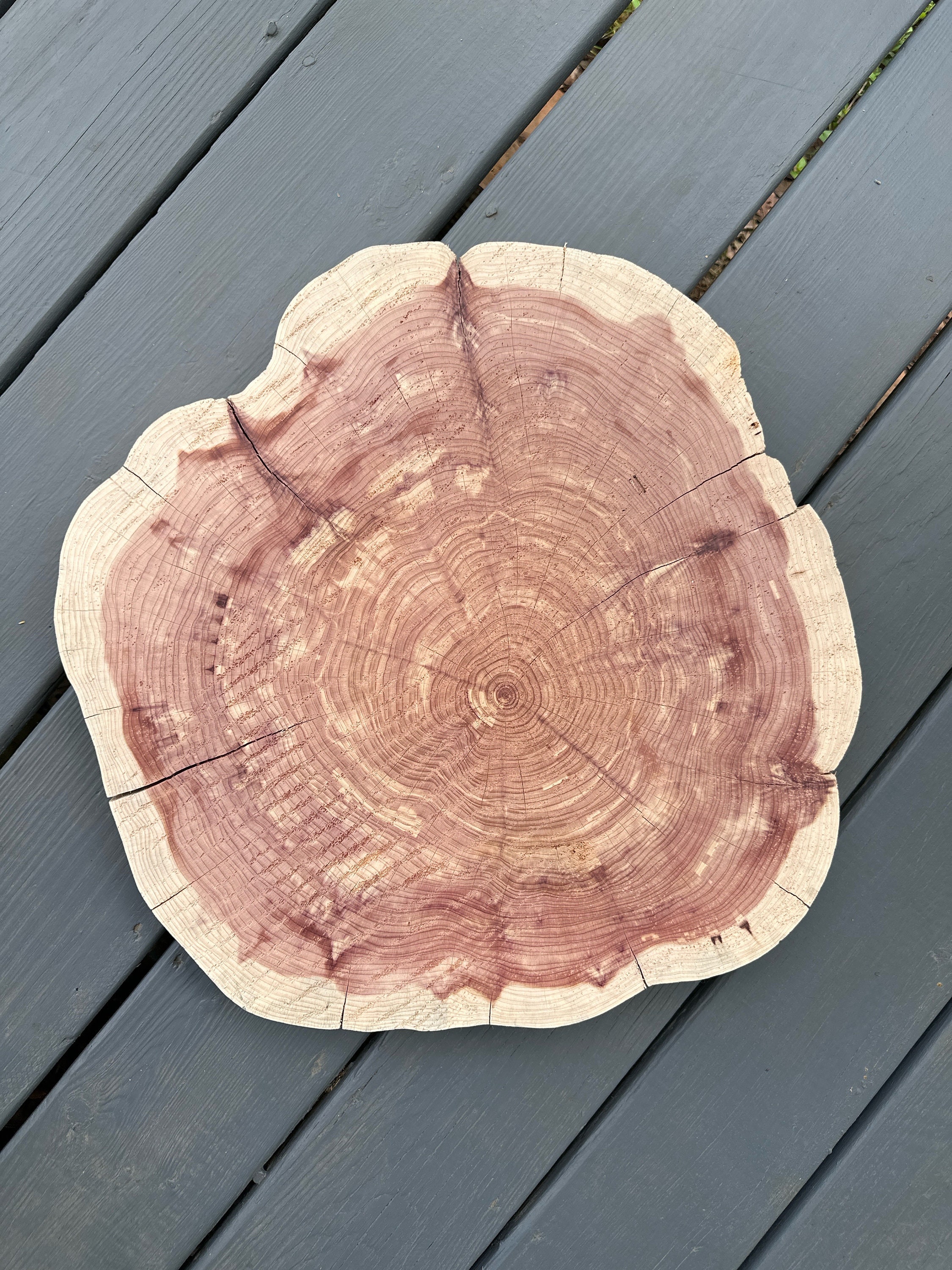 Large Chunky Cookie Red Cedar Wood Round Sanded Table DIY 18 - Etsy