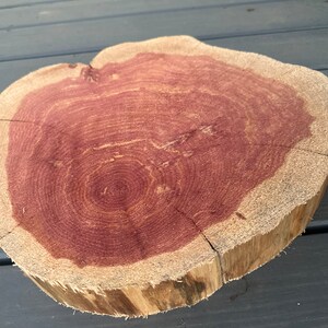 Large Chunky Cookie Red Cedar Wood Round Rough Cut Table DIY - Etsy