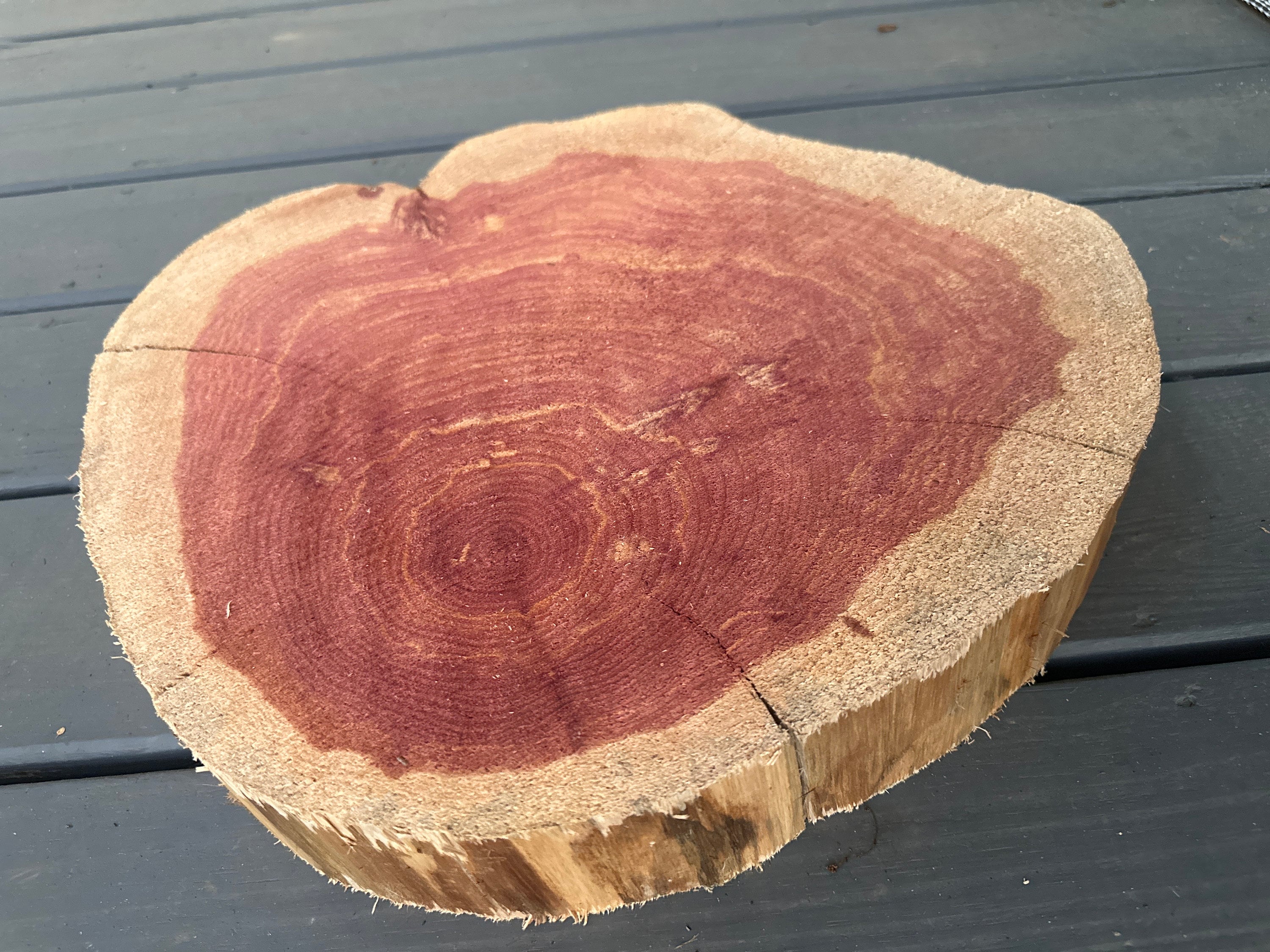 Large Chunky Cookie Red Cedar Wood Round Rough Cut Table DIY - Etsy