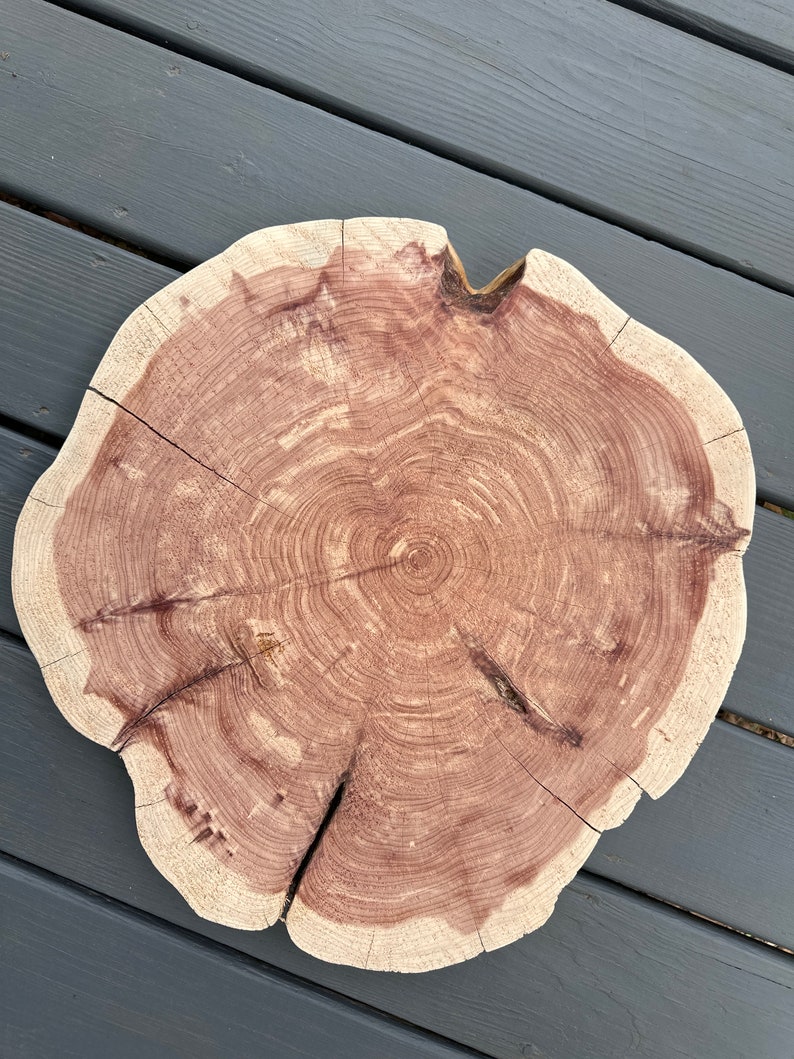 Large Chunky Cookie Red Cedar Wood Round Sanded Table DIY 18+” - Etsy