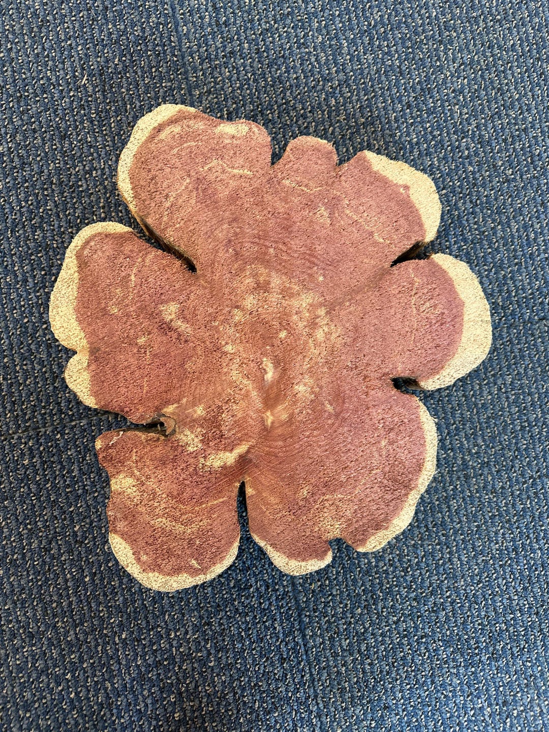 Center Cut Wood Live Edge Slab Round Crosscut Rough Cut DIY Chunky Red ...