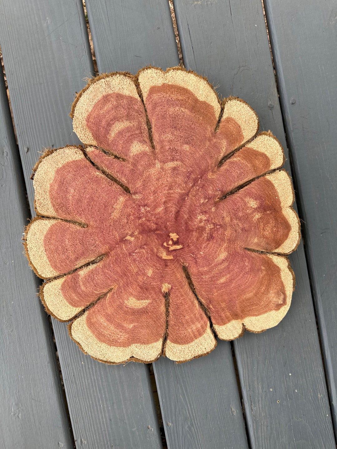 Large Chunky Cookie Red Cedar Wood Round Rough Cut Live Edge DIY 17 - Etsy