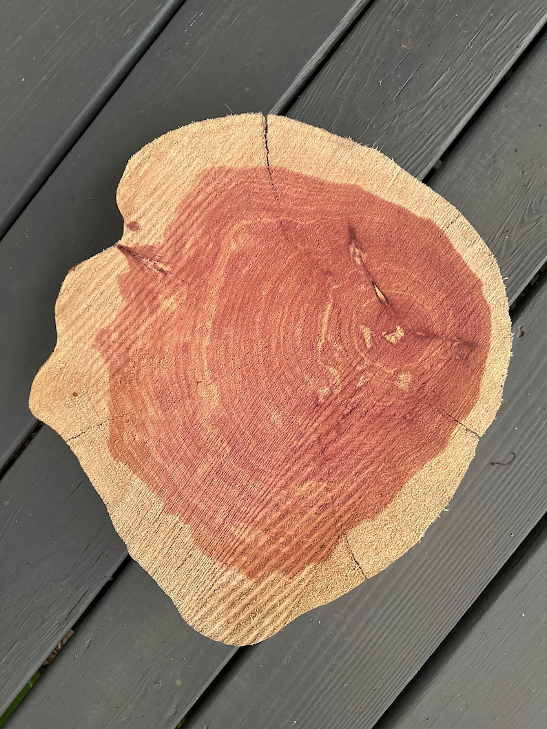 Large Chunky Cookie Red Cedar Wood Round Rough Cut Table DIY - Etsy