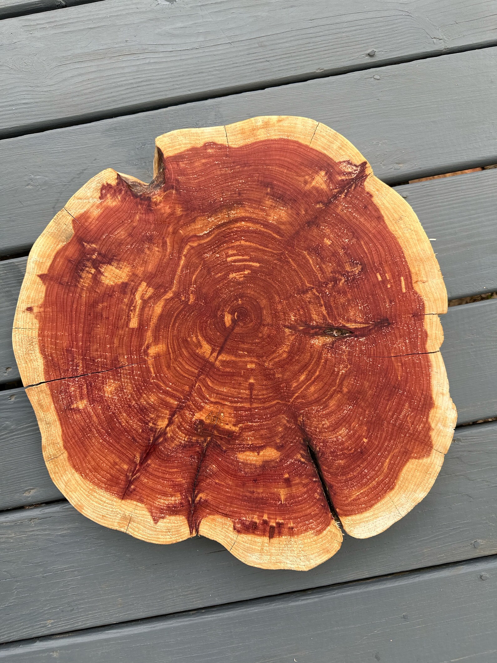 Large Chunky Cookie Red Cedar Wood Round Sanded Table DIY 18+” - Etsy
