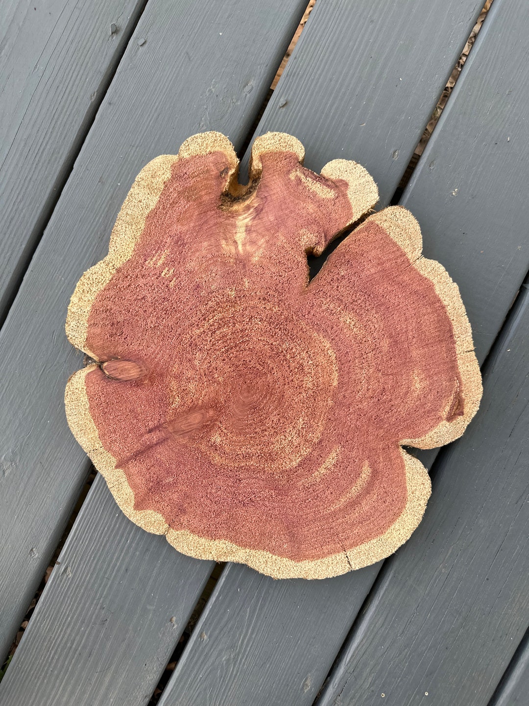 Center Cut Wood Live Edge Slab Round Crosscut Rough Raw Red Cedar 16 - Etsy