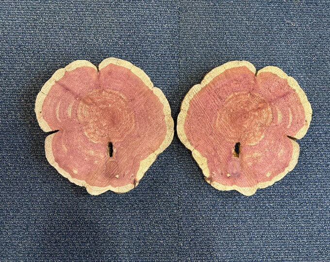 2 Center Cut Live Edge Red Cedar Slabs Round Crosscut Rough DIY Twin ...