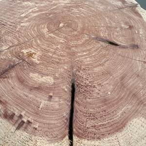 Large Chunky Cookie Red Cedar Wood Round Sanded Table DIY 18+” - Etsy