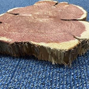 Center Cut Wood Live Edge Slab Round Crosscut Rough Cut DIY Staghorn ...