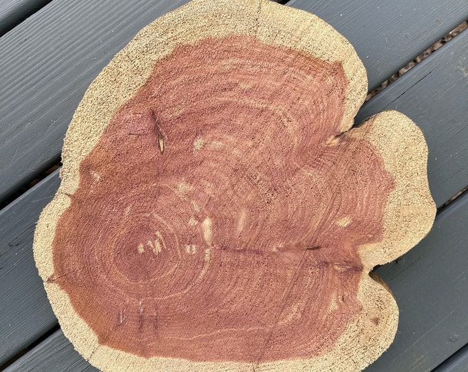 Large Chunky Cookie Red Cedar Wood Round Rough Cut Table DIY - Etsy