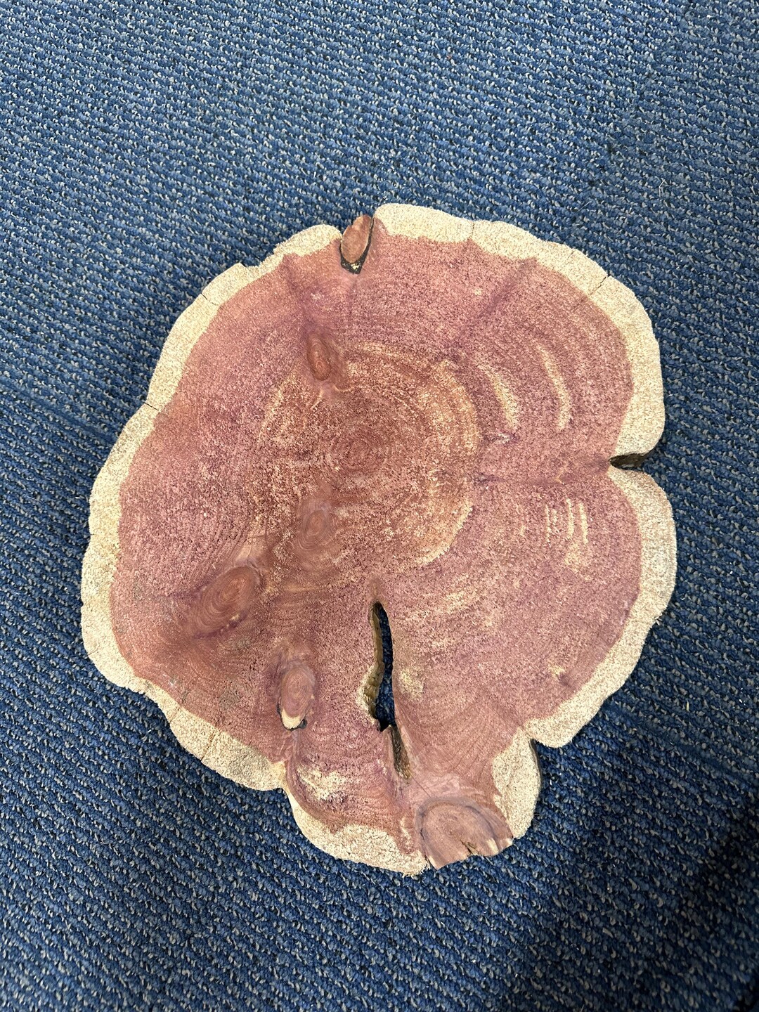 Center Cut Wood Live Edge Slab Round Crosscut Rough Cut DIY Staghorn ...