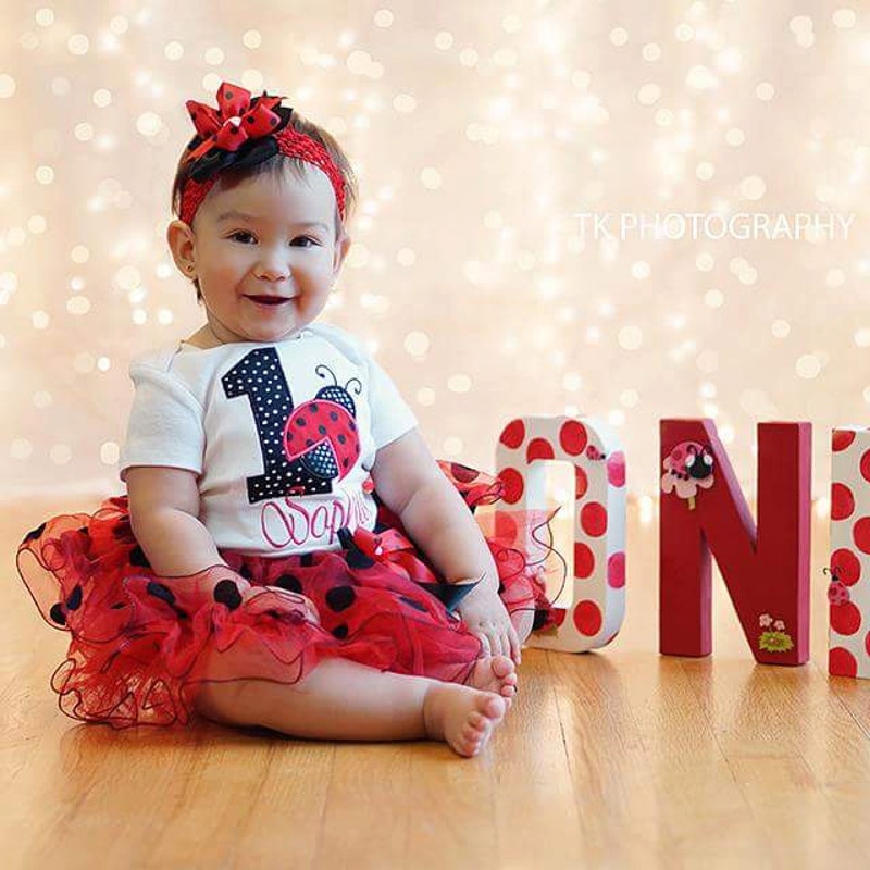 Ladybug 1st Birthday - Etsy