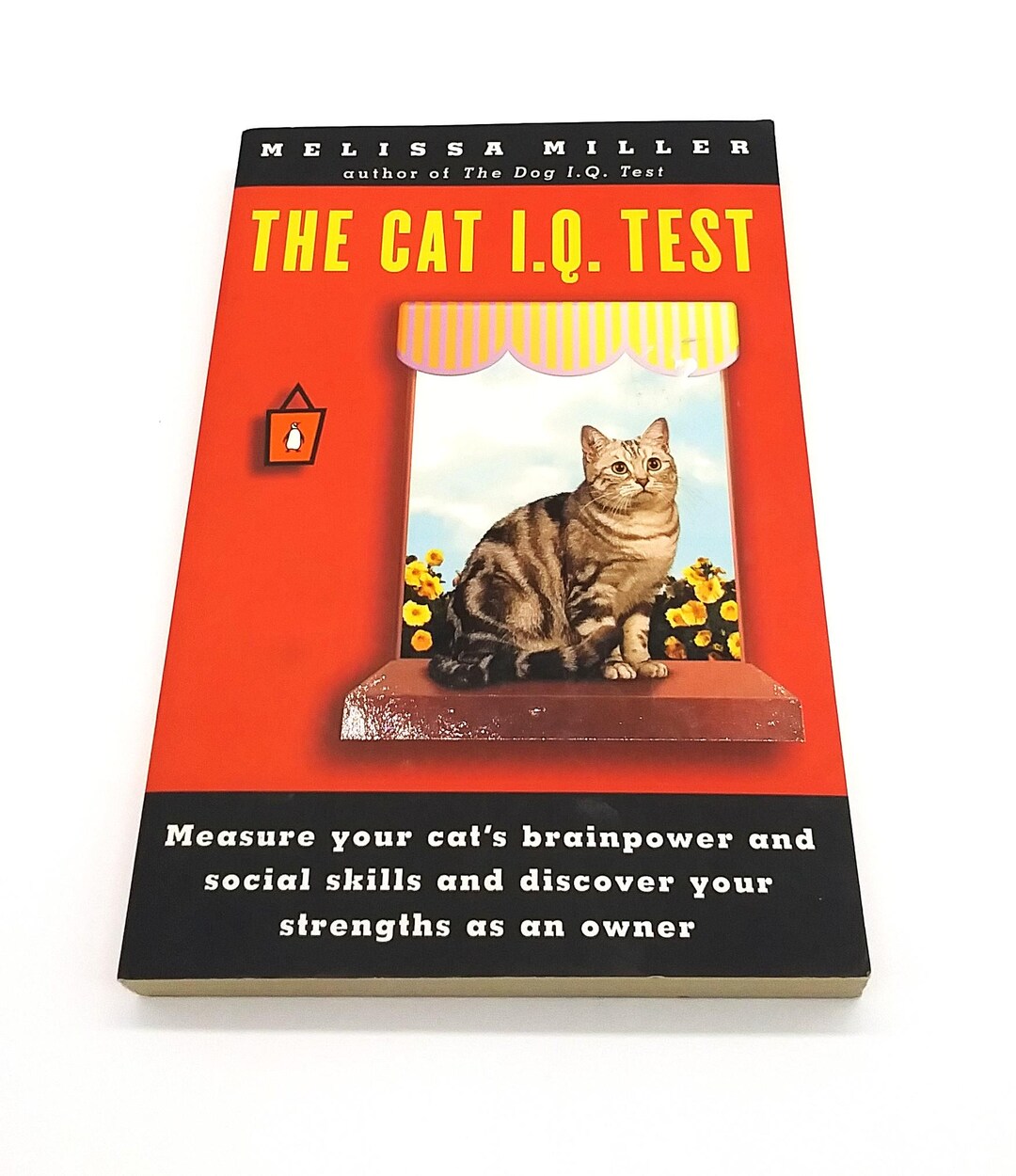 The CAT IQ TEST by Melissa Miller - Etsy