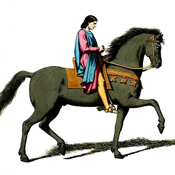 Rider and Horse Costume - Etsy