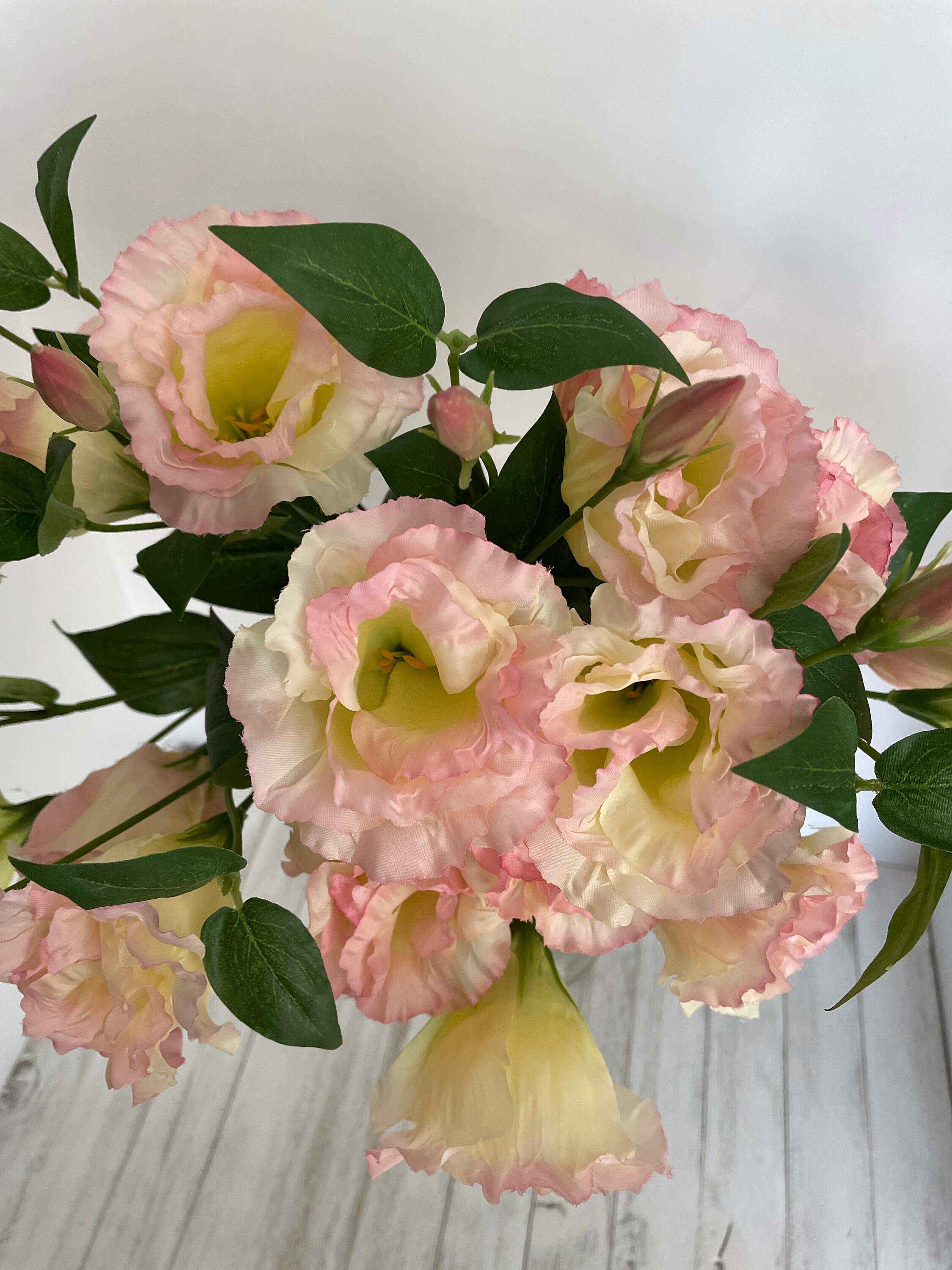 Blush Lisianthus