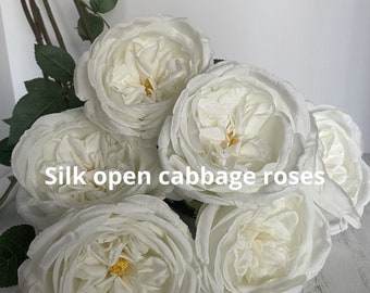 White Cabbage Rose | Etsy