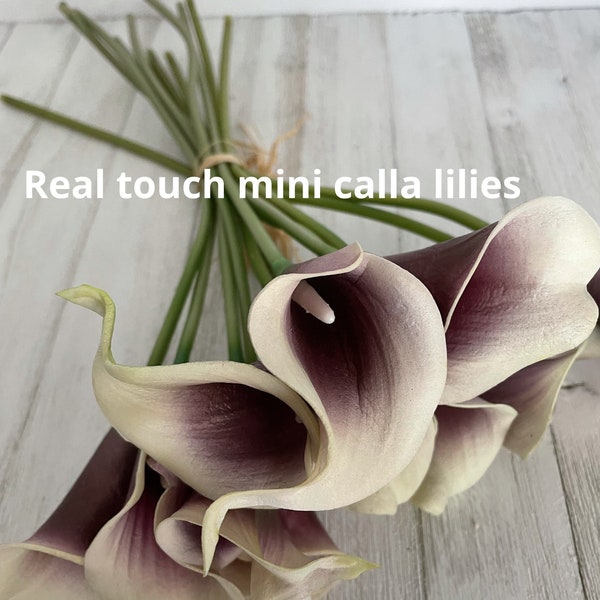 Picasso Calla Lily - Etsy