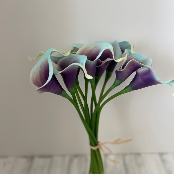 Picasso Calla Lily - Etsy