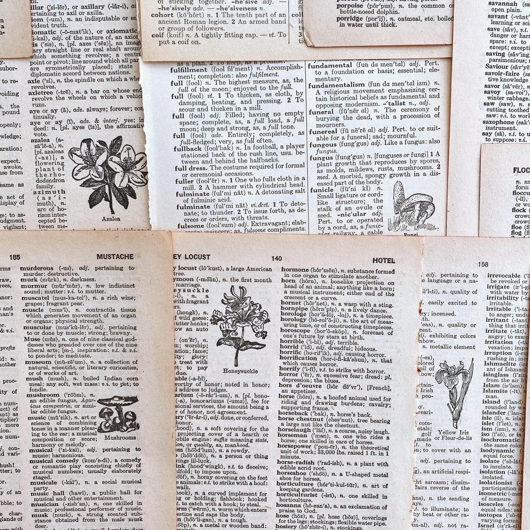 Antique Botanical Dictionary Pages: 1930s-1960s Paper Craft Ephemera - Etsy