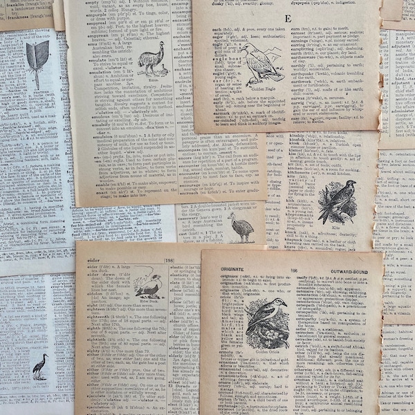 Dictionary Pages for Crafts - Etsy