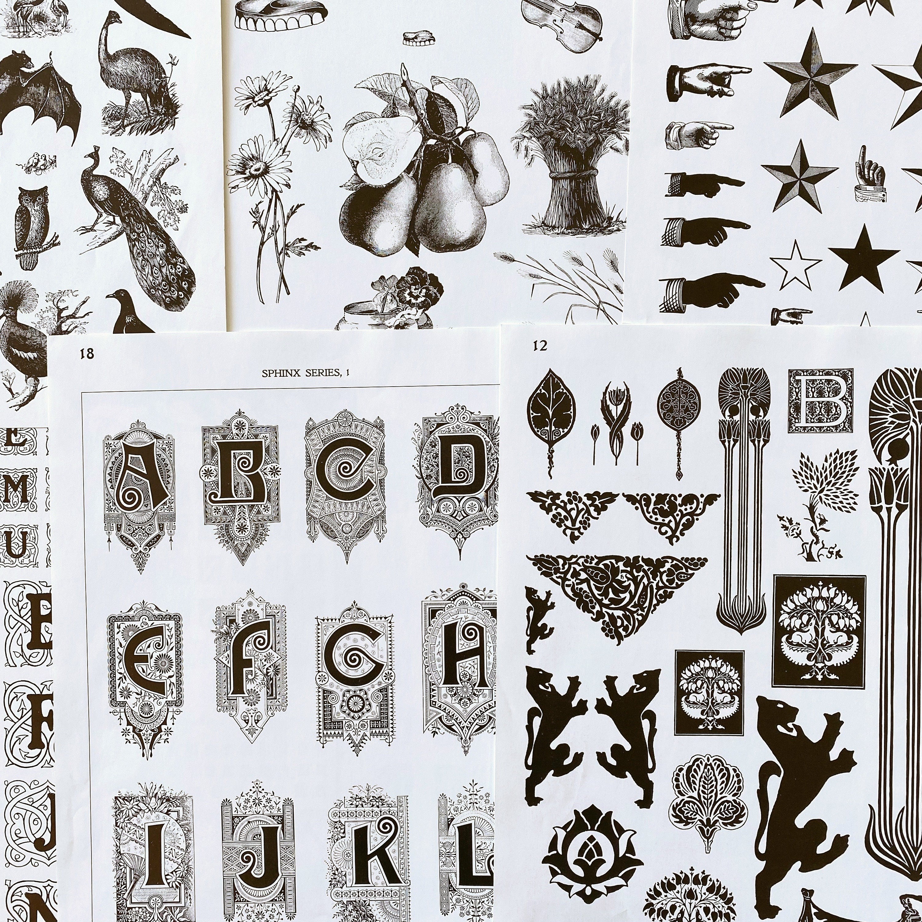 Vintage American Type Founders Illustrations: Alphabet Typography (15 ...