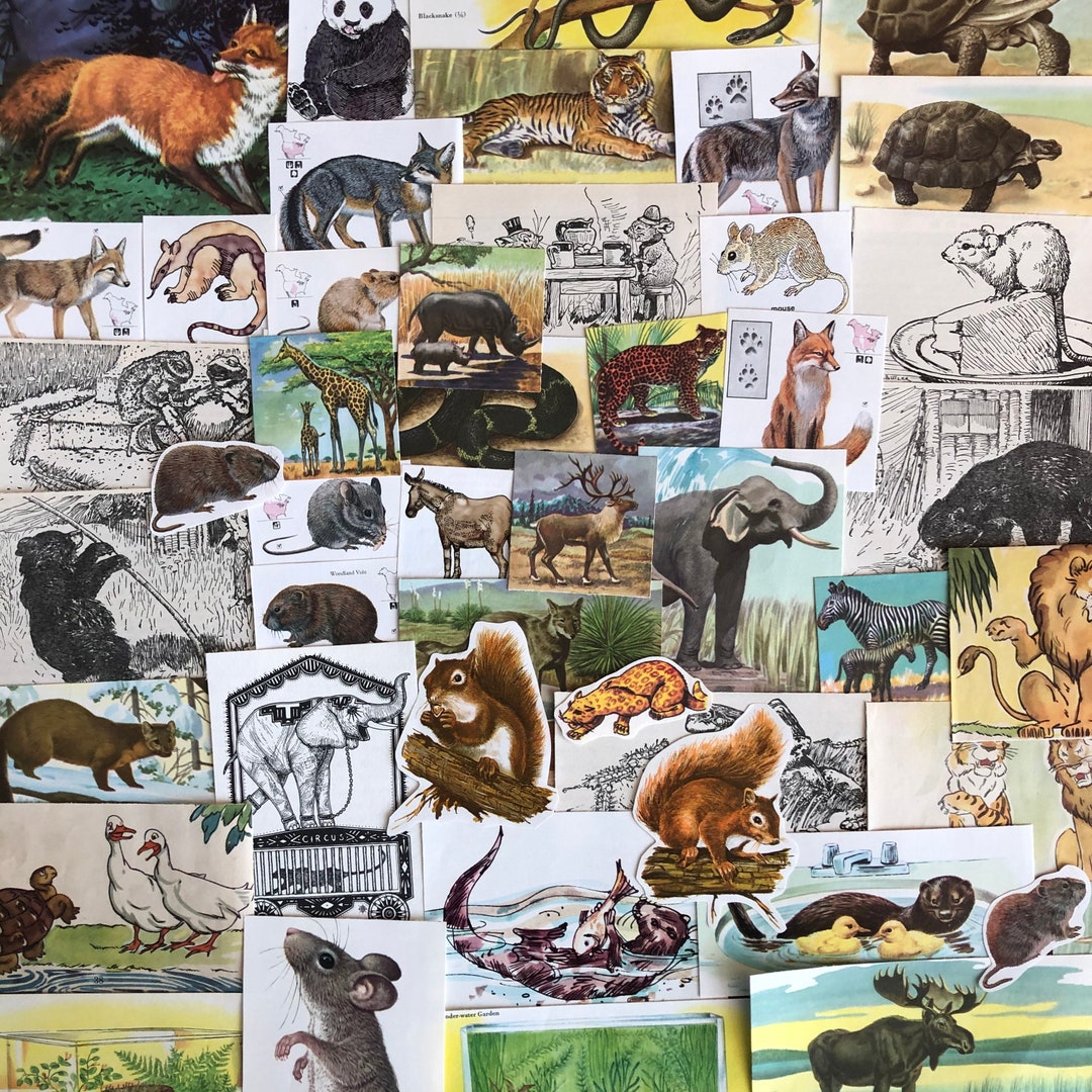 Animal Themed Ephemera Pack for Junk Journals, Smash Books, Art ...