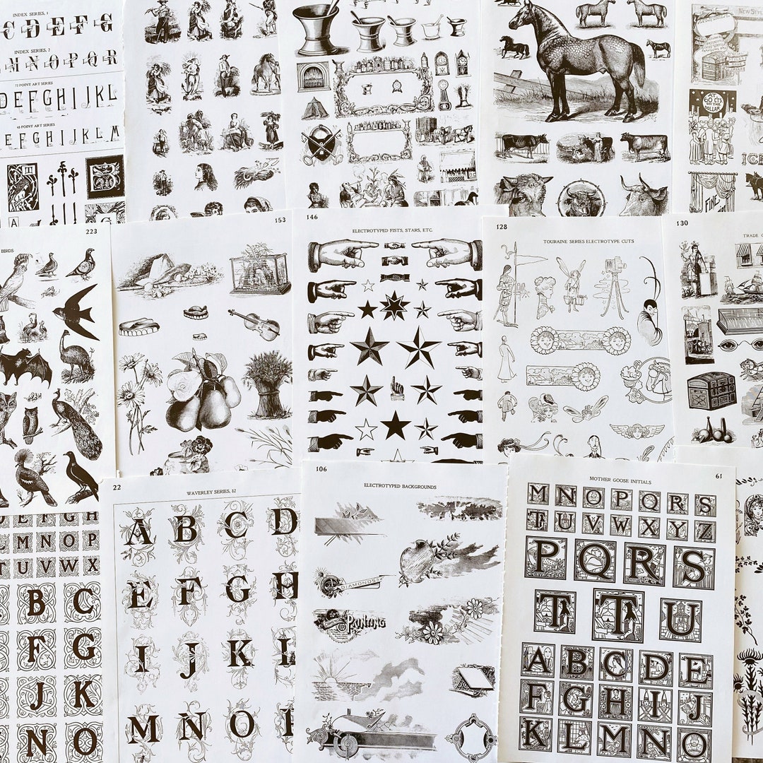 Vintage American Type Founders Illustrations: Alphabet Typography (15 ...