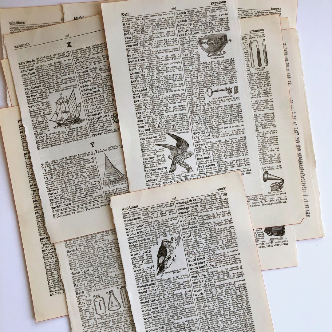Vintage Illustrated Dictionary Pages - Etsy