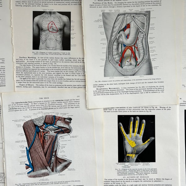 Medical Textbook Pages - Etsy