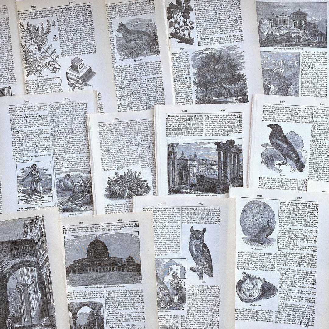 Antique 1884 Illustrated Bible Dictionary Pages, Vintage Bible Ephemera ...