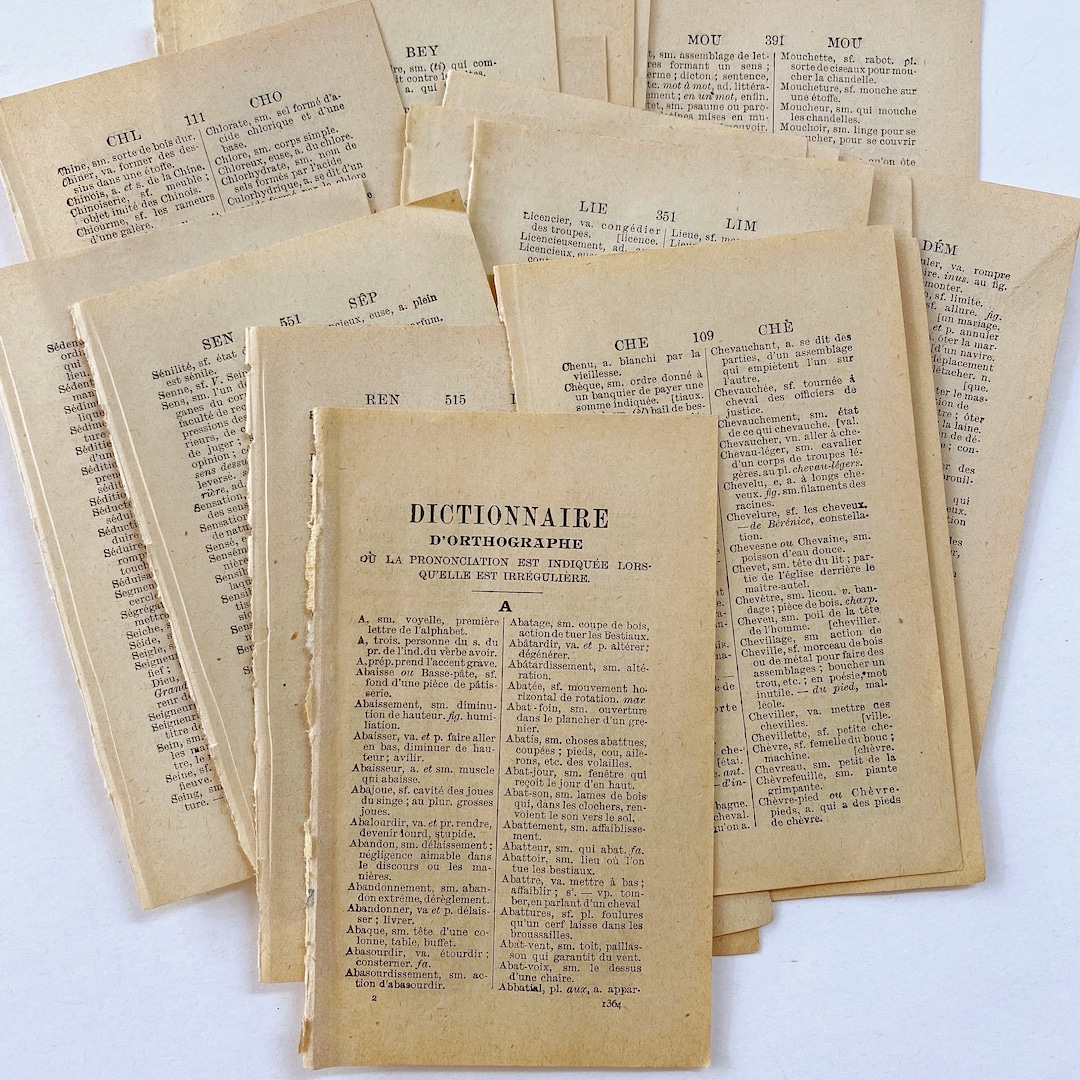 1900 Mini French Dictionary Pages, Printed in Belgium - Etsy