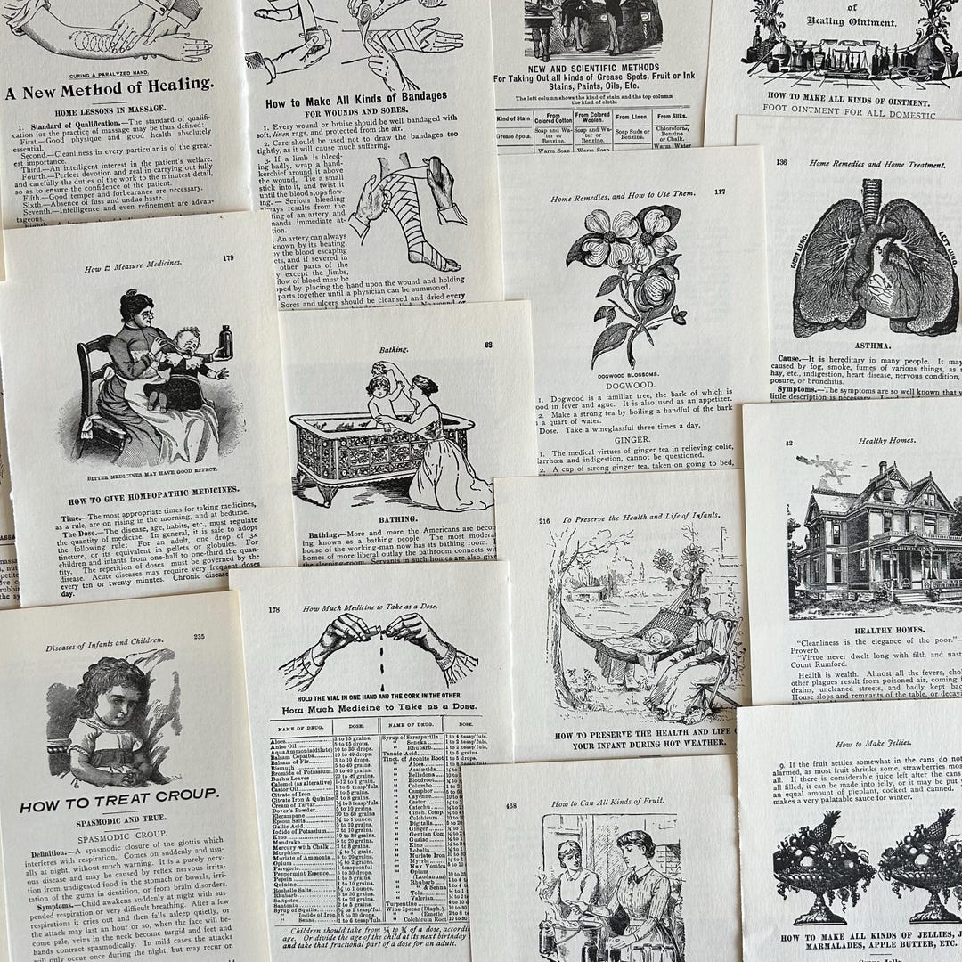 1894 Household Guide Vintage Pages - Etsy