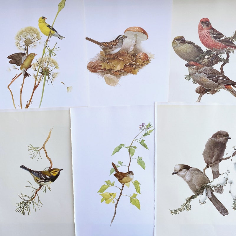 Bird Mit Anfangsbuchstabe - Etsy Canada