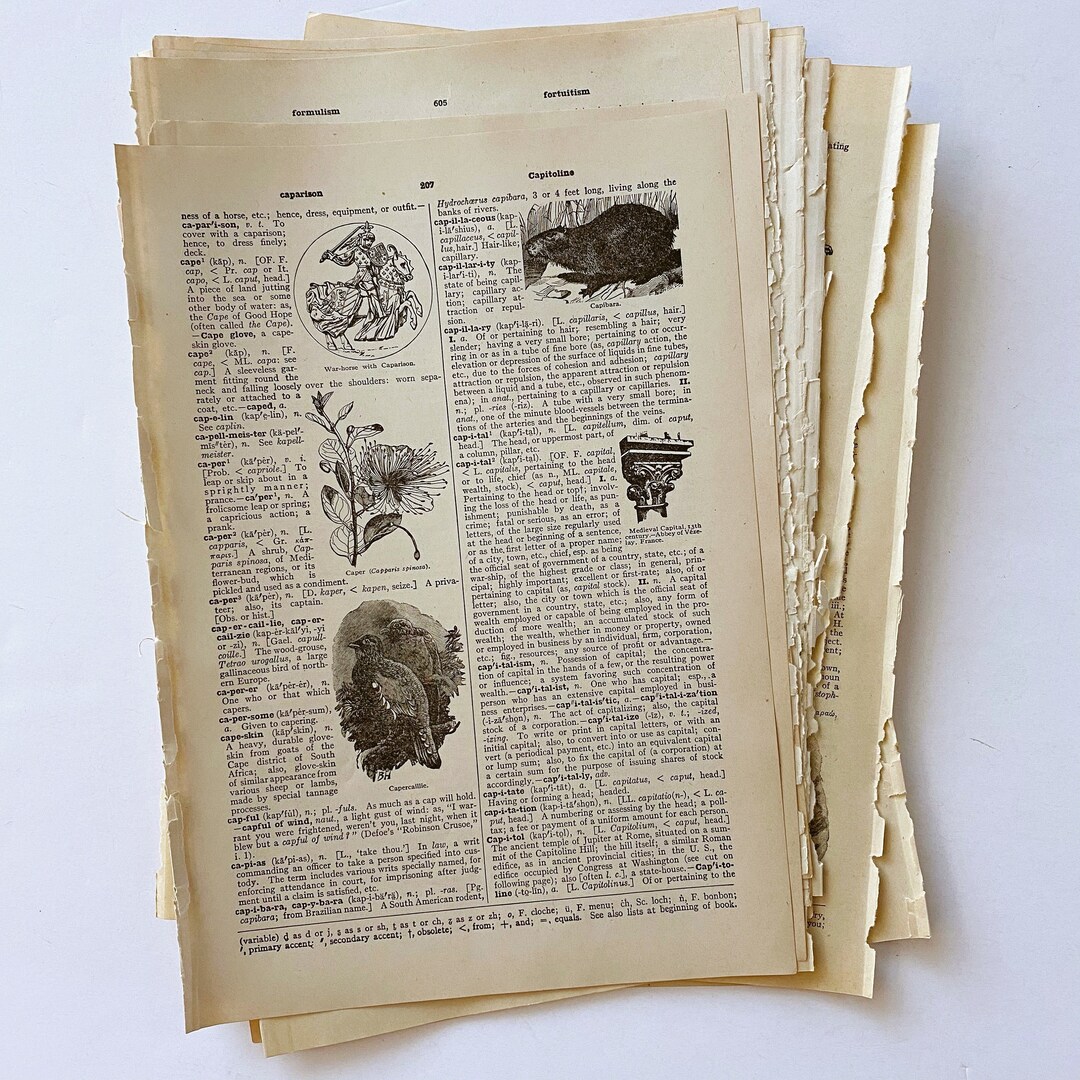 Antique 1927 Illustrated Dictionary Pages Antique English - Etsy