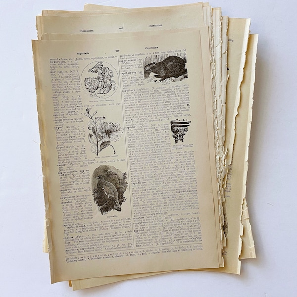 Antique Dictionary - Etsy