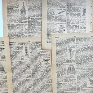 Antique 1948 Illustrated Dictionary Pages, Antique English Dictionary ...