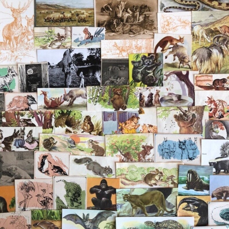 Animal Themed Ephemera Pack for Junk Journals Smash Books | Etsy