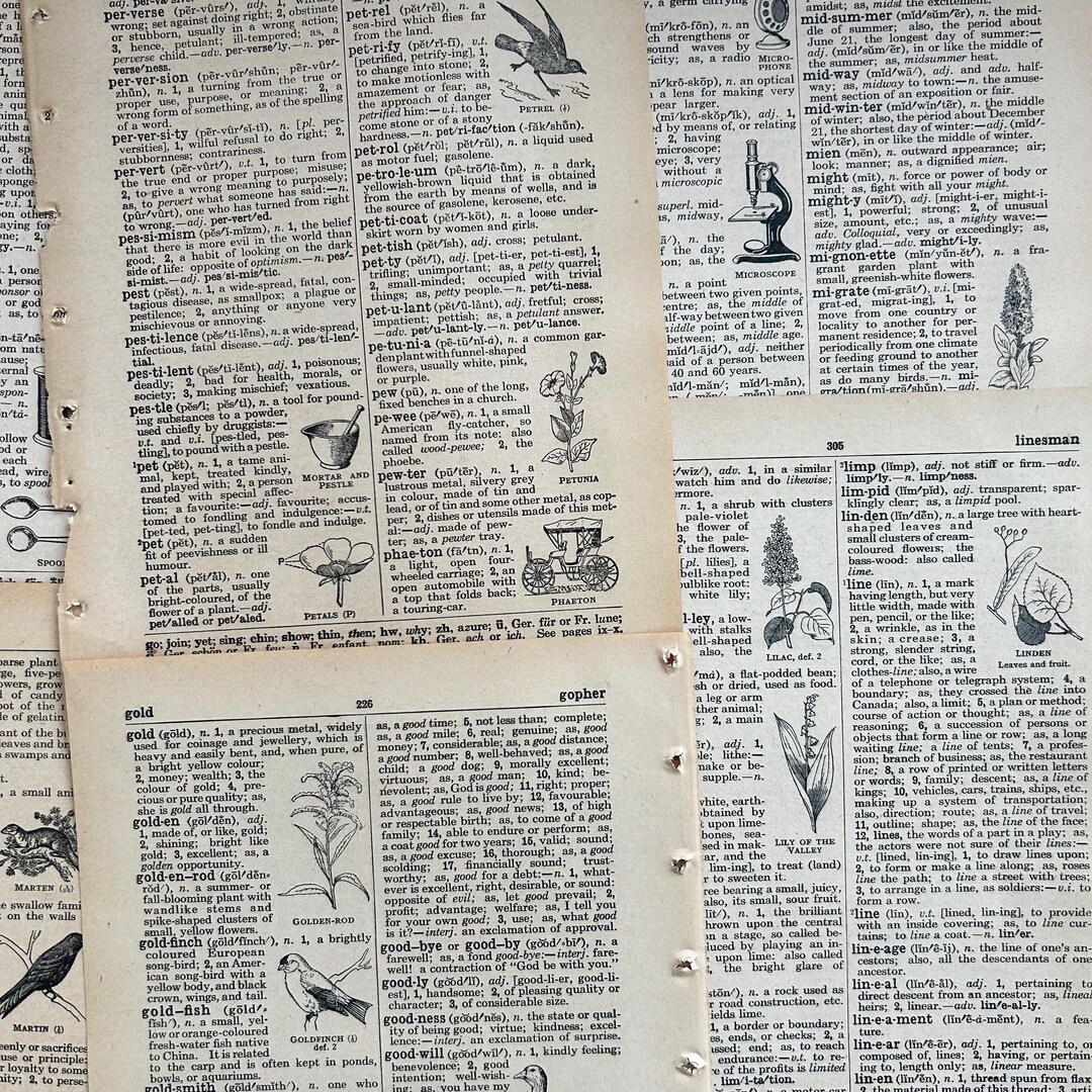 Antique 1948 Illustrated Dictionary Pages, Antique English Dictionary ...