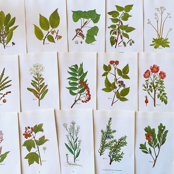 Printables - Etsy Canada