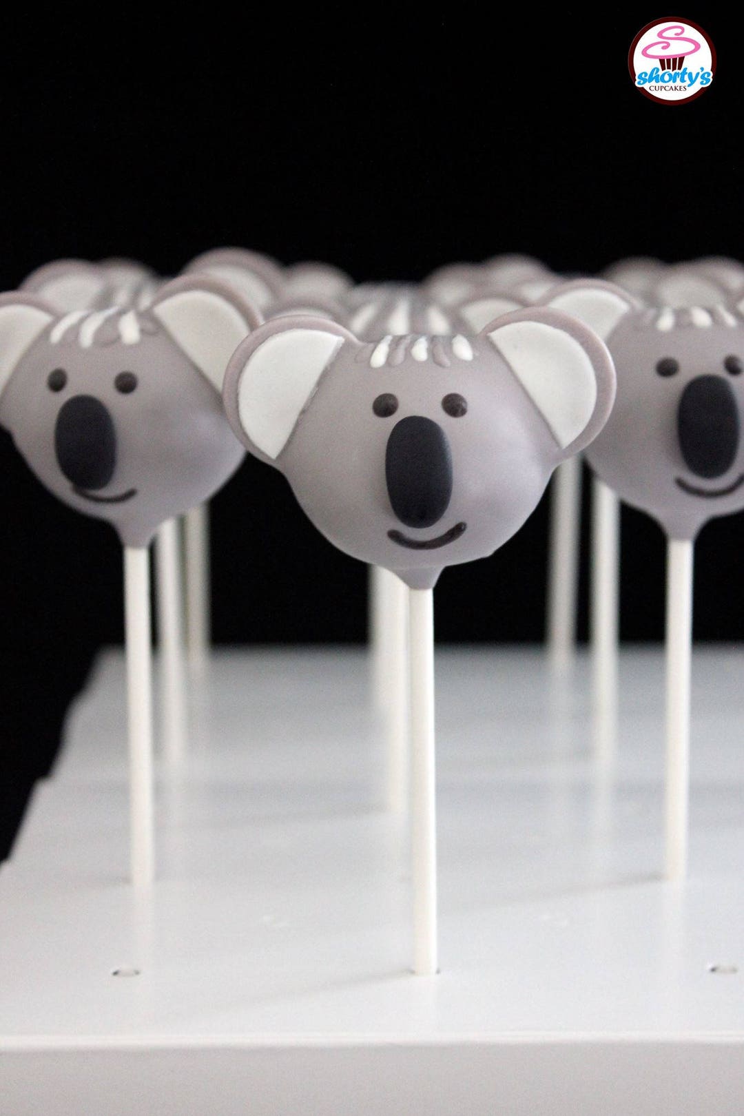 Koala Themed Gourmet Cake Pops - Etsy