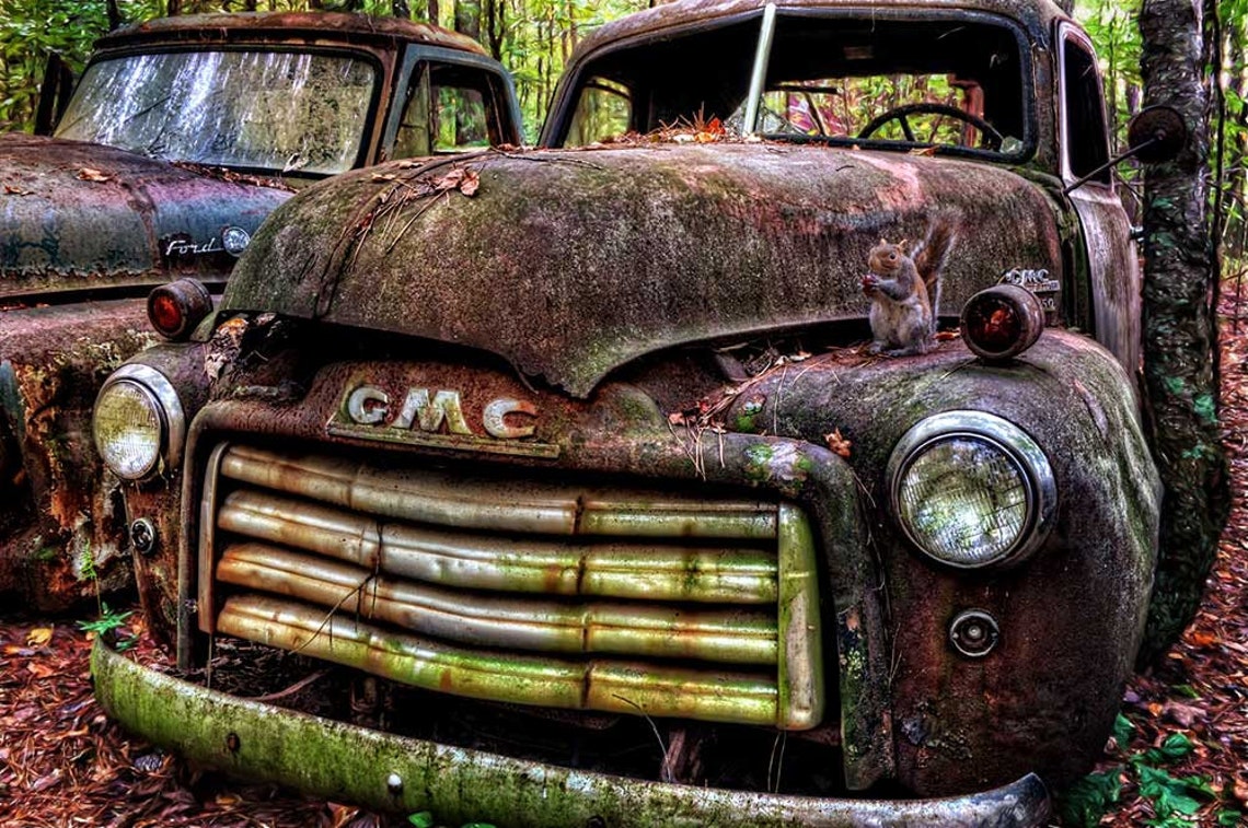 Title sitting on the Fender Vintage GMC Squirrel | Etsy