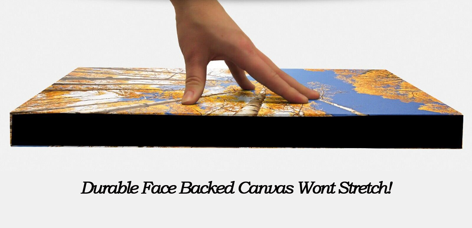 Large Wall Art WAAC B-25 Mitchell WWII Army Bomber WAAC Female - Etsy