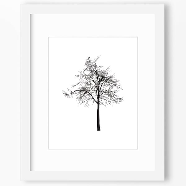 Leafless Tree Art - Etsy