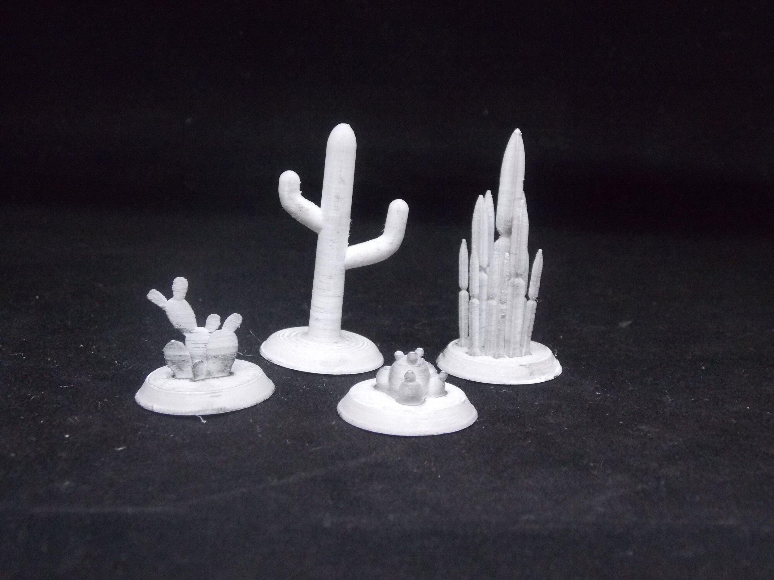 28MM Cactus Set - Etsy