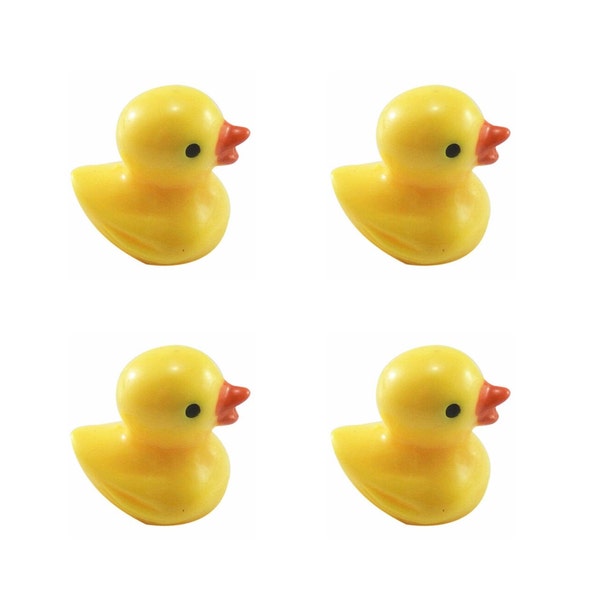 Resin Ducks - Etsy