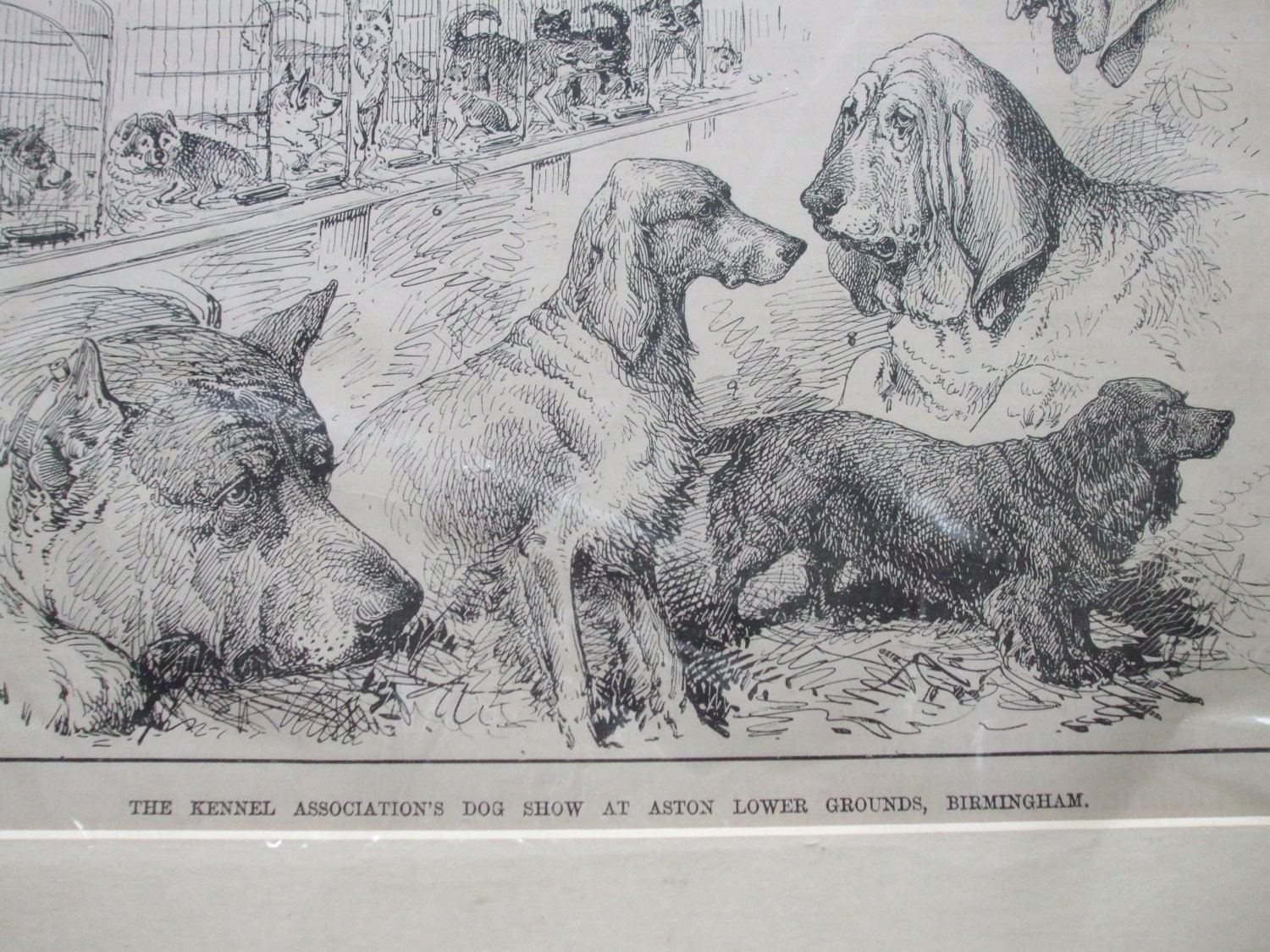Antique Print Dated 1883 the Kennel Association Dog Show at - Etsy