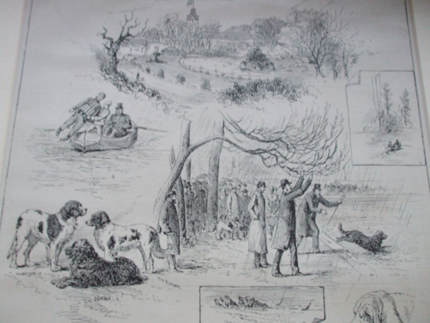 Antique Print Dated 1883 the Kennel Association Dog Show at - Etsy
