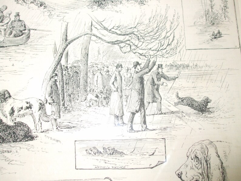 Antique Print Dated 1883 the Kennel Association Dog Show at - Etsy