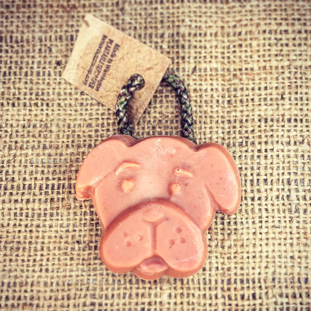 Organic Orangesicle+kid's Soap on a Rope+organic Soap+ecofriendly Party ...